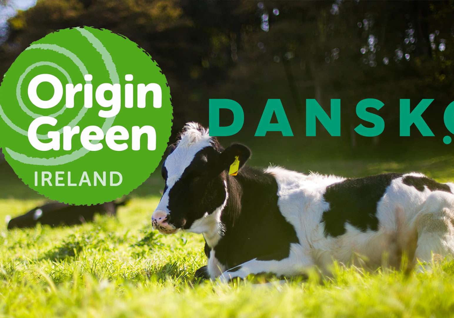 DANSKO FOODS - Irish Food & Drink