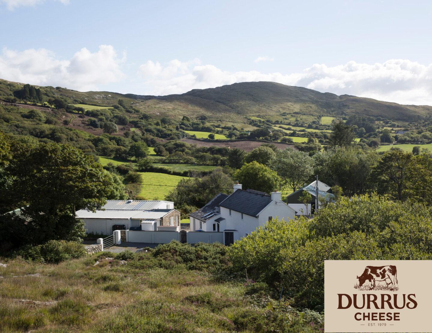 DURRUS CHEESE Ltd - Irish Food & Drink