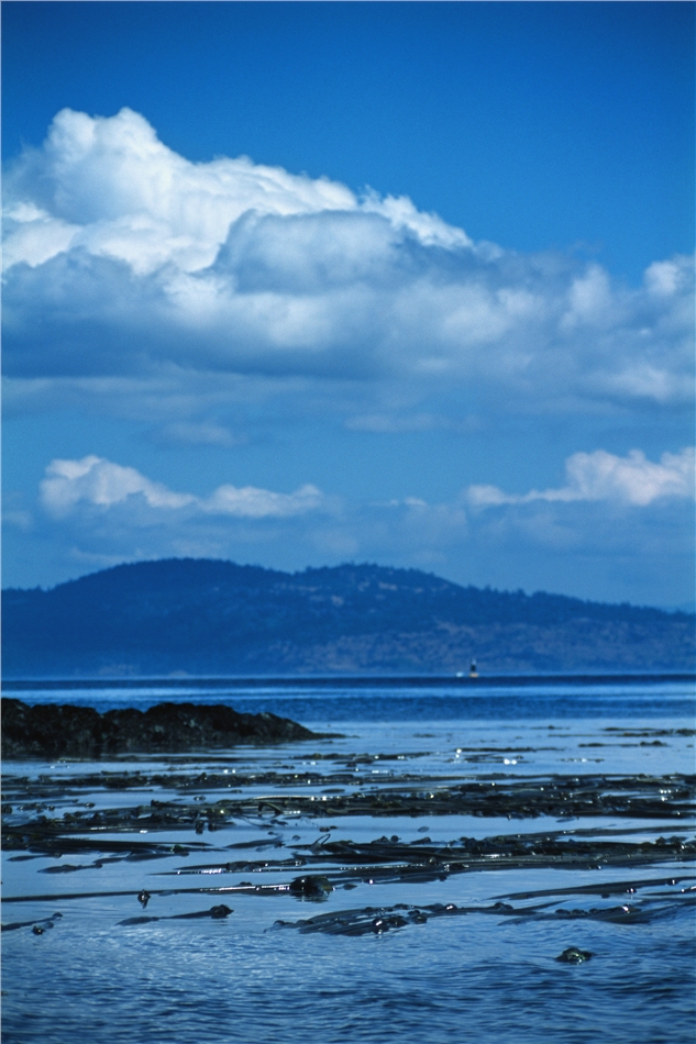 ORIEL SEA SALT COMPANY - Irish Food & Drink