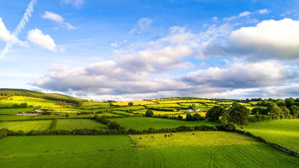 Origin Green: setting and delivering science based targets ...