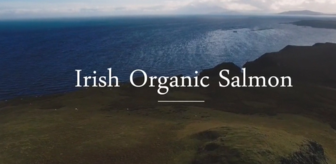 Shellfish - Irish Food & Drink